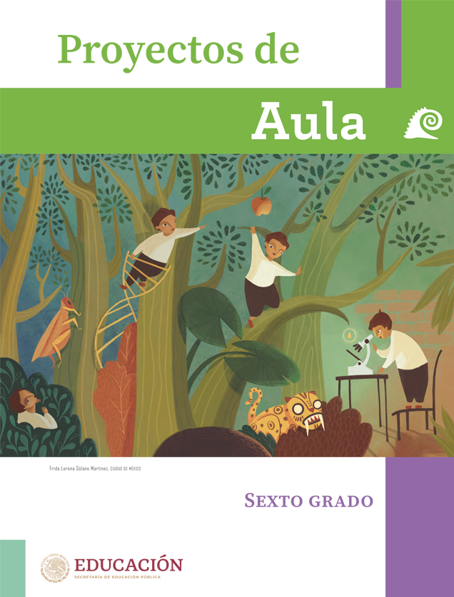 Red Magisterial | Proyectos de aula. Sexto grado